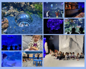 ¿Cómo compartimos el planeta?