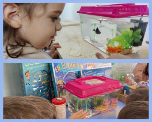 ¿Cómo compartimos el planeta?